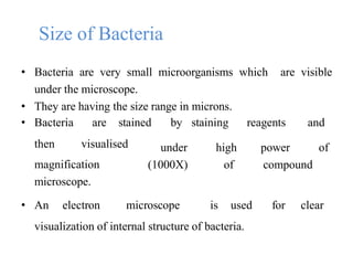 Morphologyof Bacteria.pptx