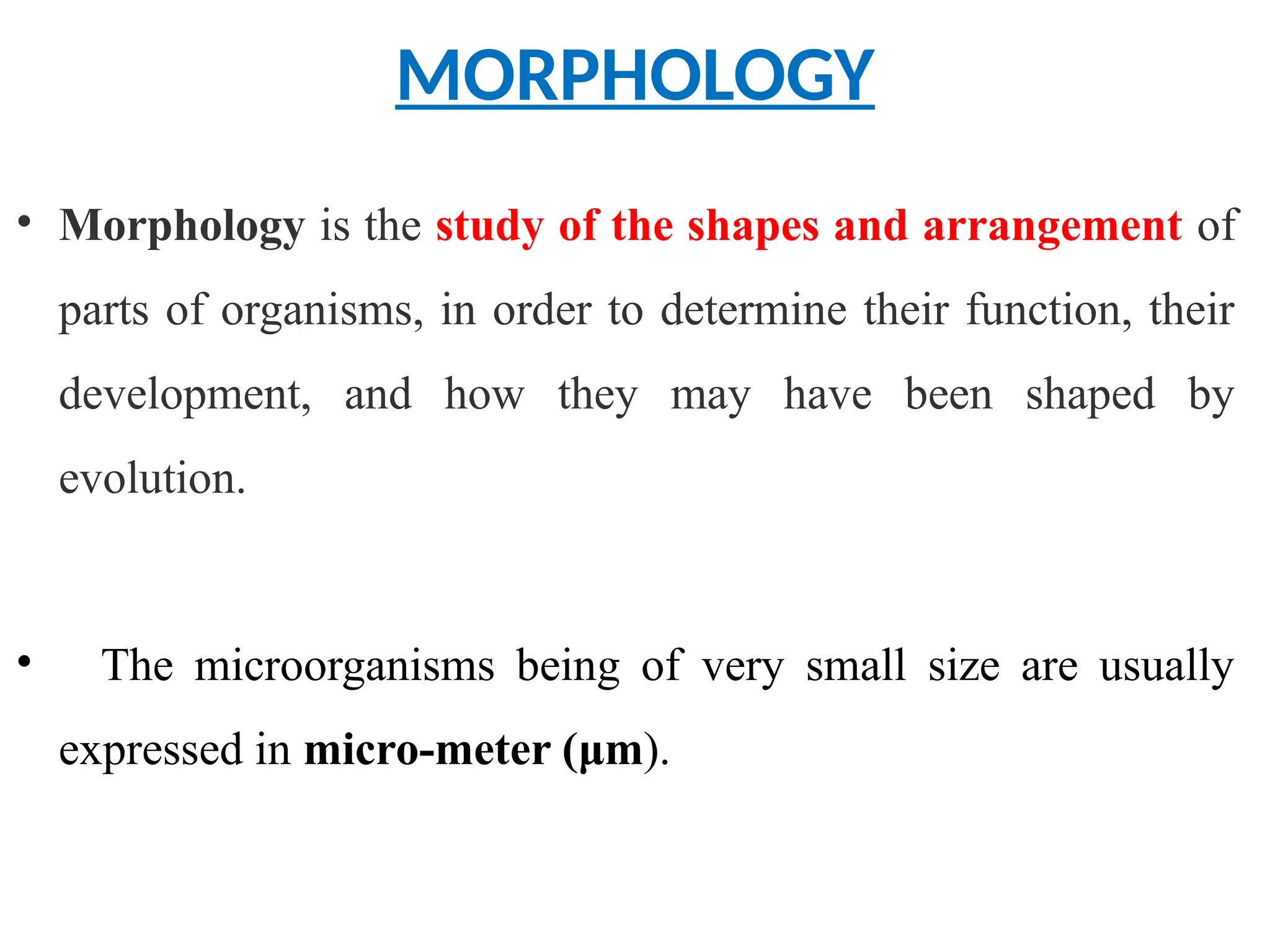 morphology of bacteria/bacterial morphology .pptx