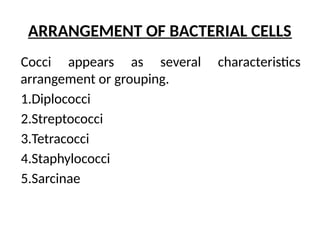 morphology of bacteria/bacterial morphology .pptx