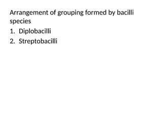 morphology of bacteria/bacterial morphology .pptx