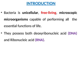 morphology of bacteria/bacterial morphology .pptx