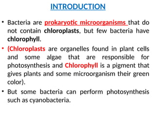 morphology of bacteria/bacterial morphology .pptx