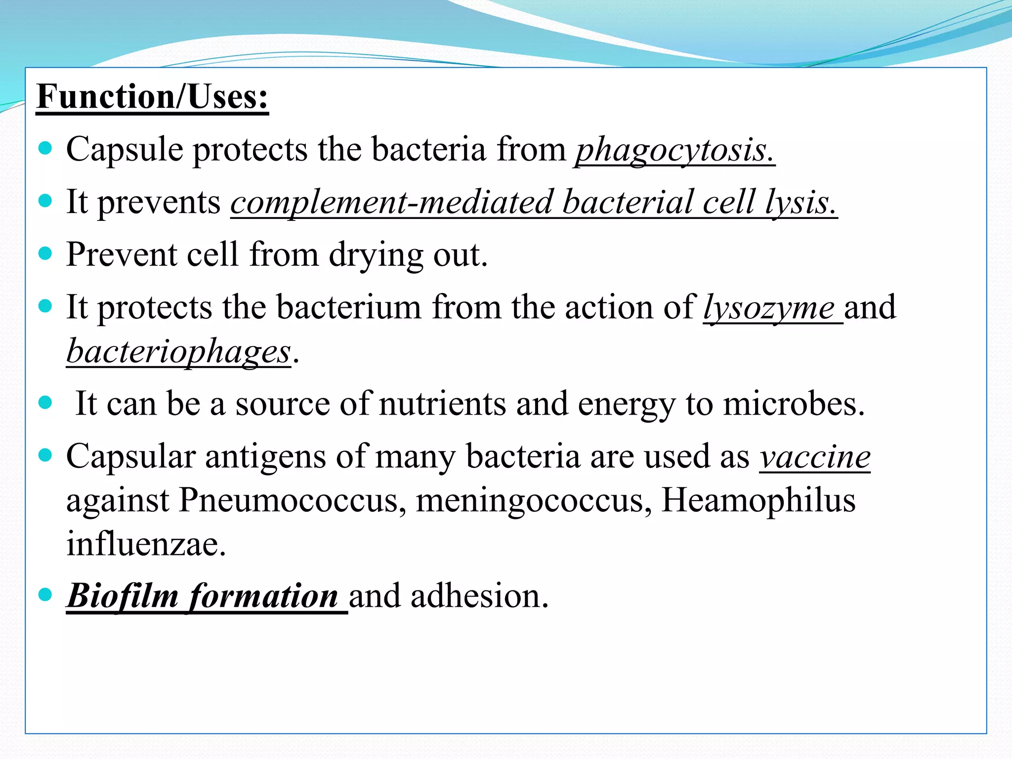Morphology of bacteria ii | PPTX