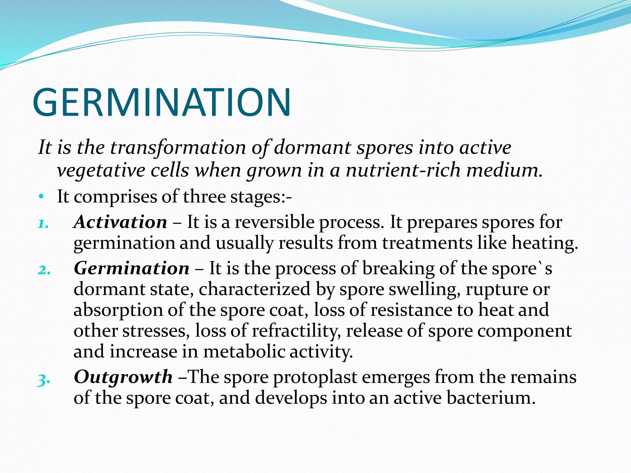 Morphology of bacteria ii | PPTX