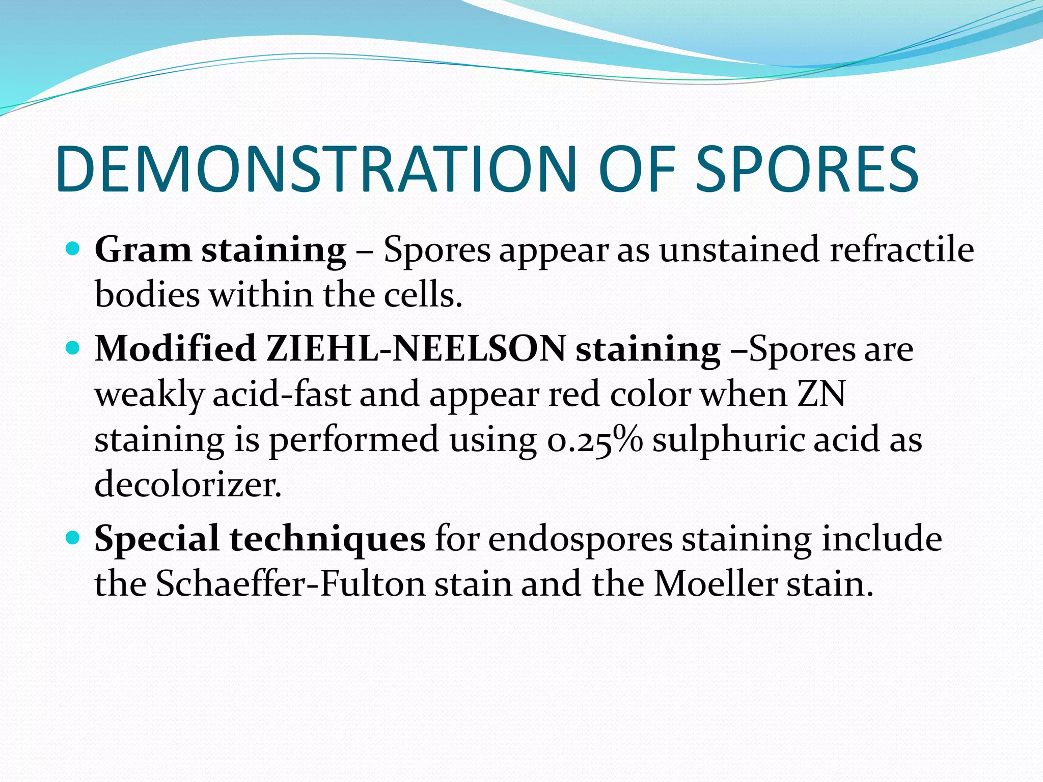 Morphology of bacteria ii | PPTX
