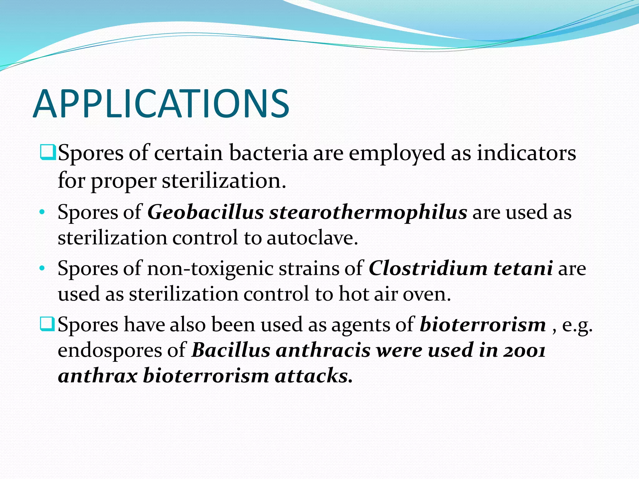 Morphology of bacteria ii | PPTX
