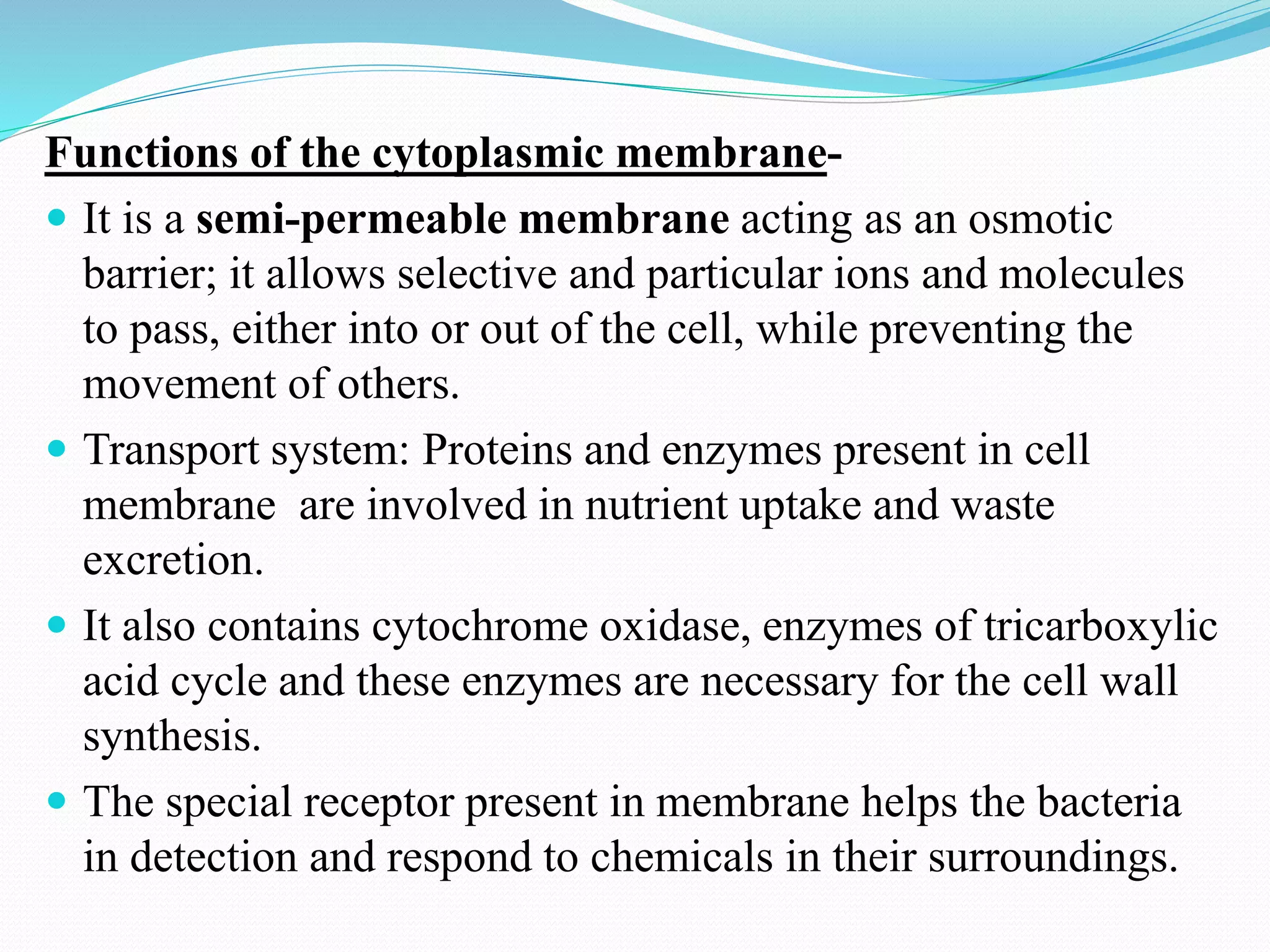 Morphology of bacteria ii | PPTX