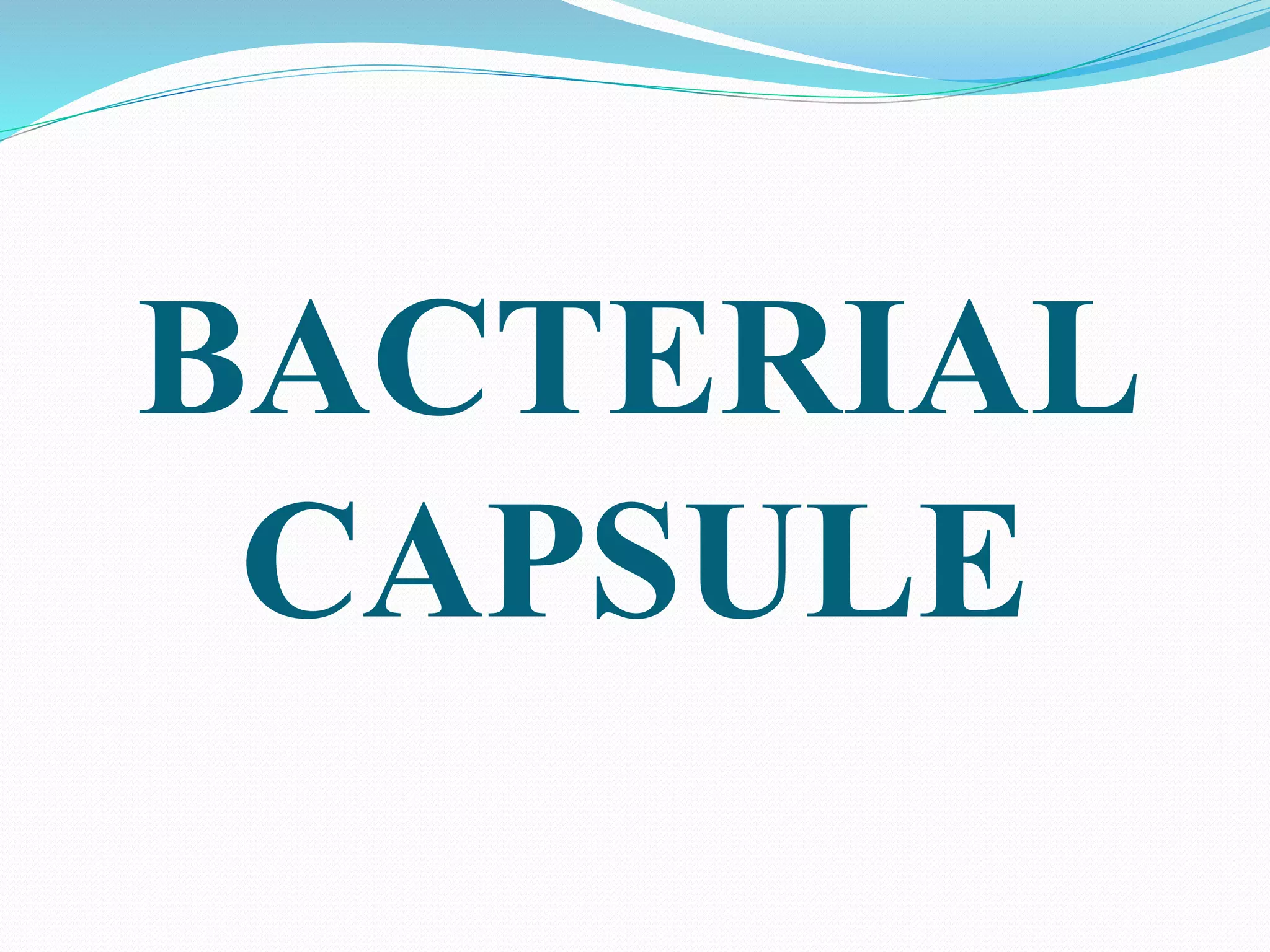 Morphology of bacteria ii | PPTX