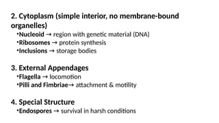 Comprehensive Overview of Bacterial Morphology and Structure | PPTX