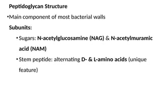 Comprehensive Overview of Bacterial Morphology and Structure | PPTX