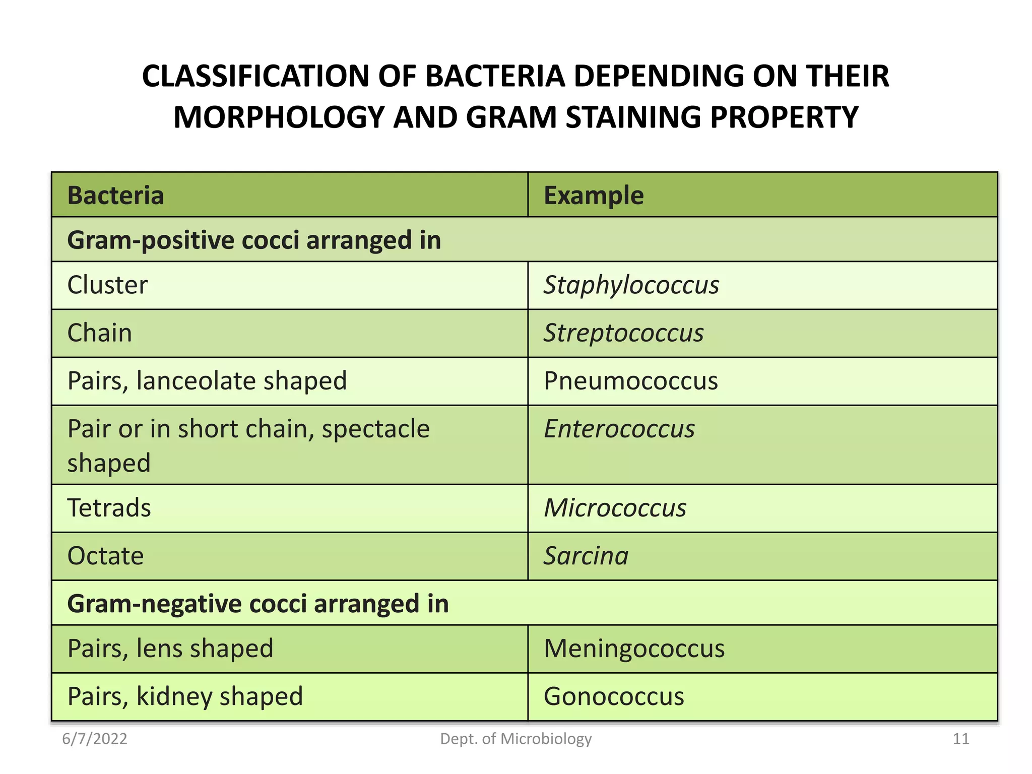 Morphology of Bacteria and Anatomy of Bacterial Cell.pptx
