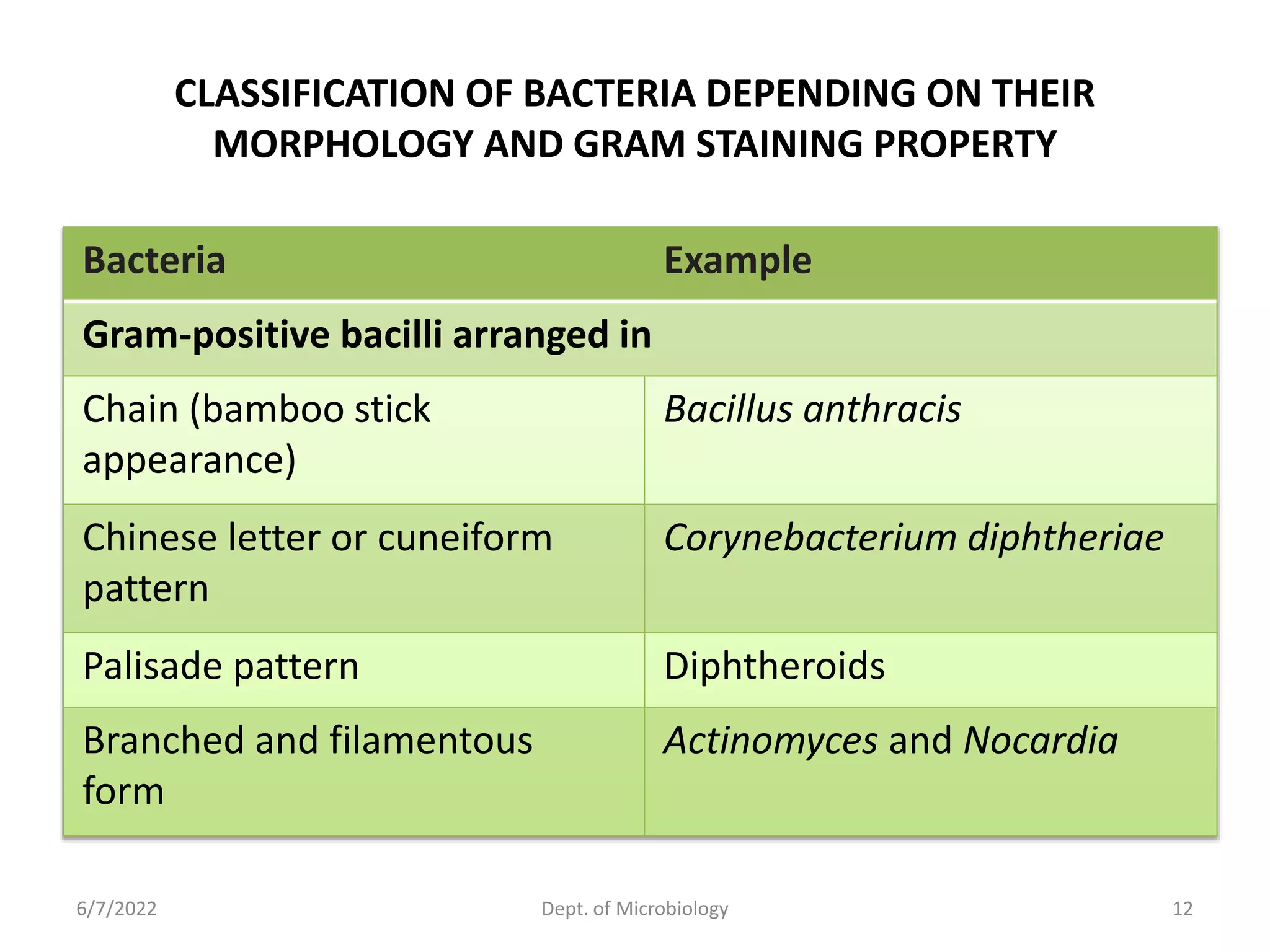 Morphology of Bacteria and Anatomy of Bacterial Cell.pptx