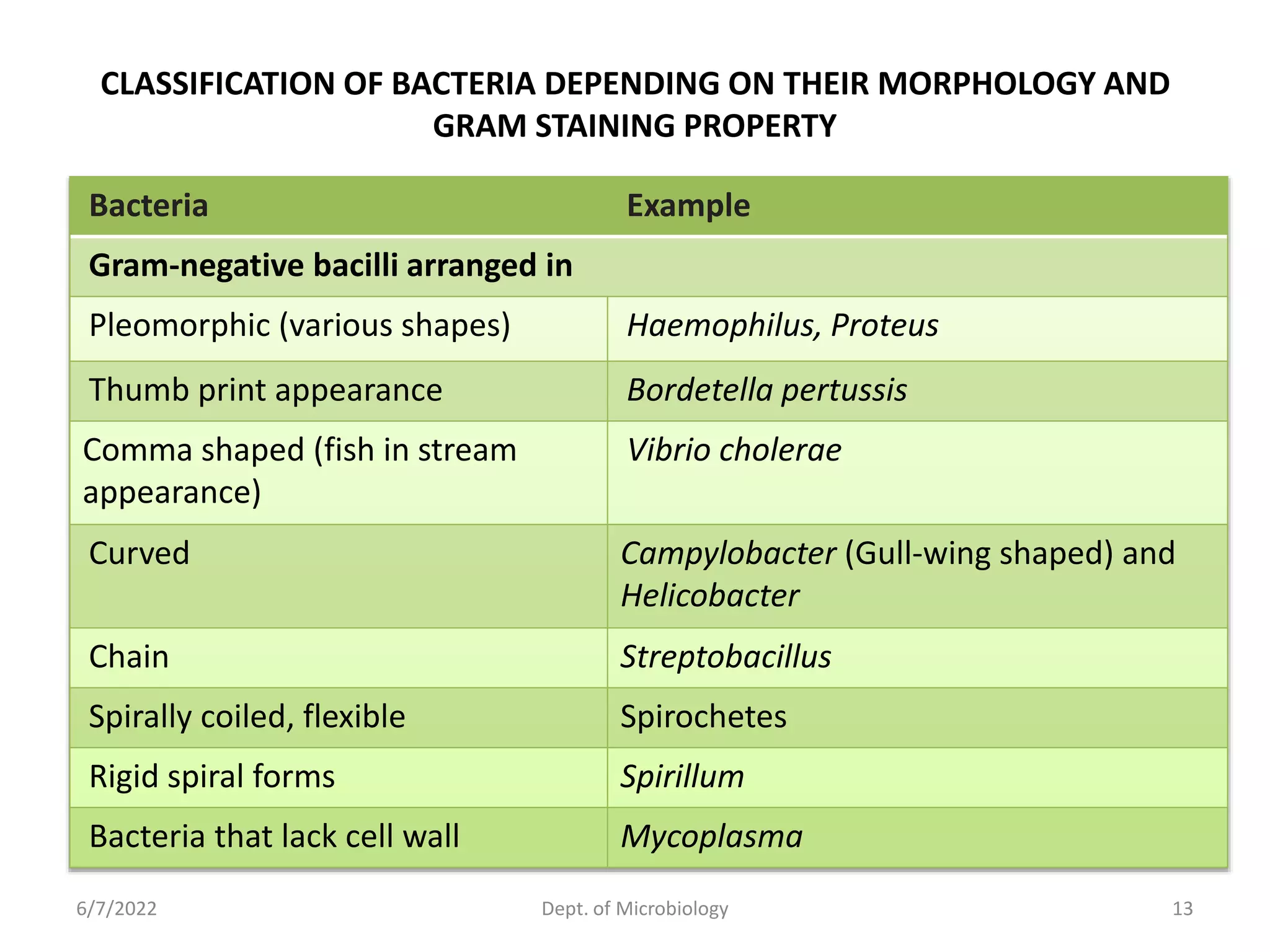 Morphology of Bacteria and Anatomy of Bacterial Cell.pptx