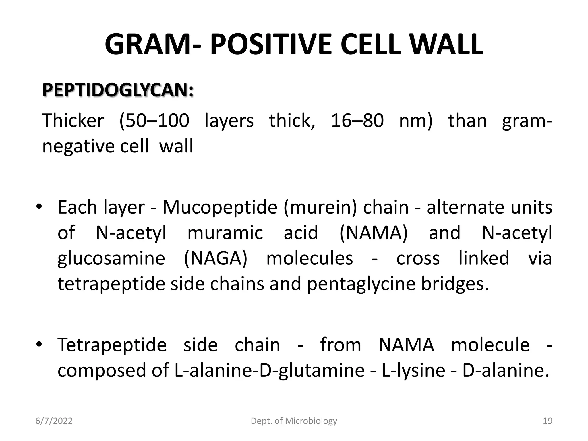 Morphology of Bacteria and Anatomy of Bacterial Cell.pptx