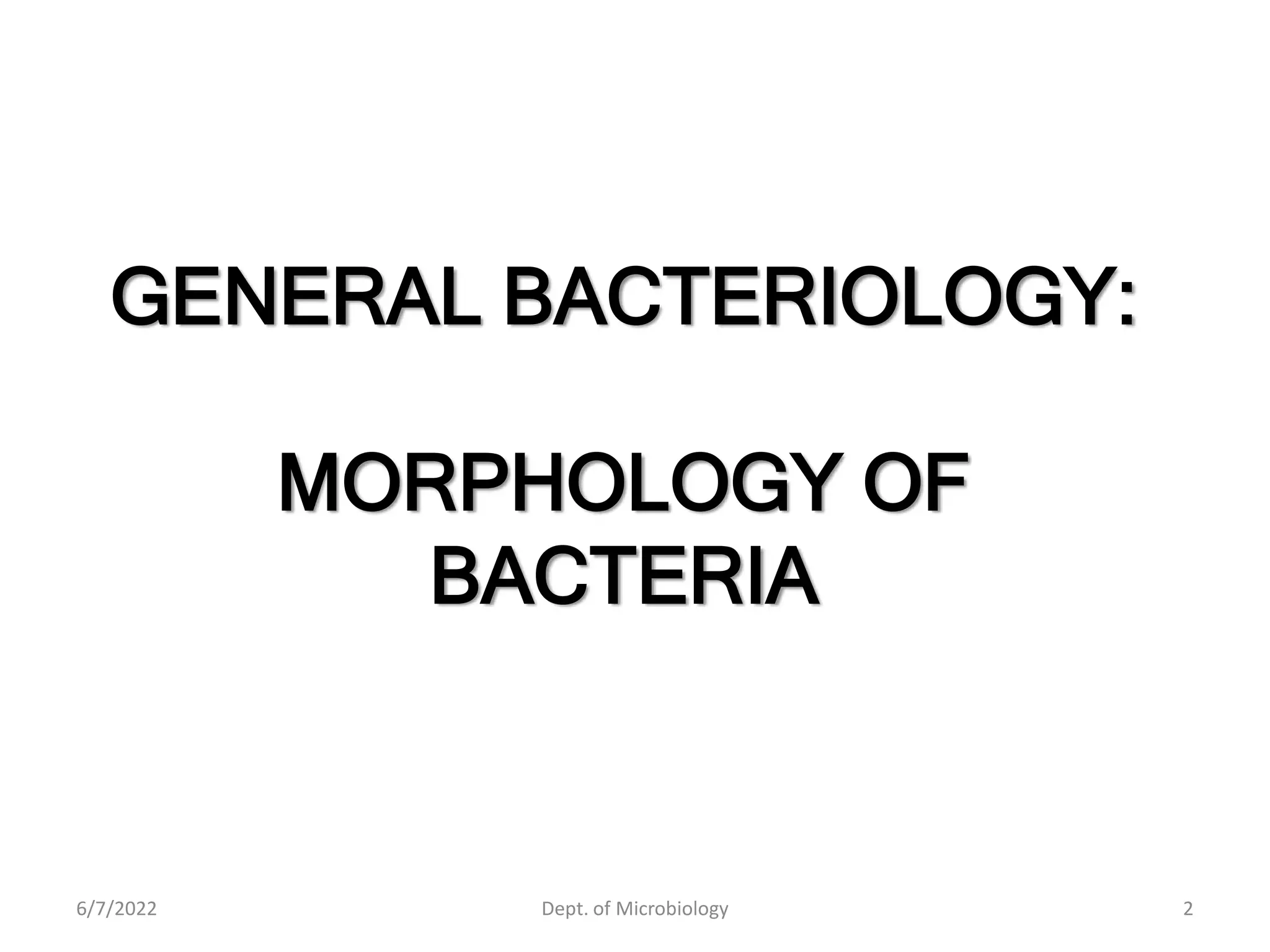 Morphology of Bacteria and Anatomy of Bacterial Cell.pptx