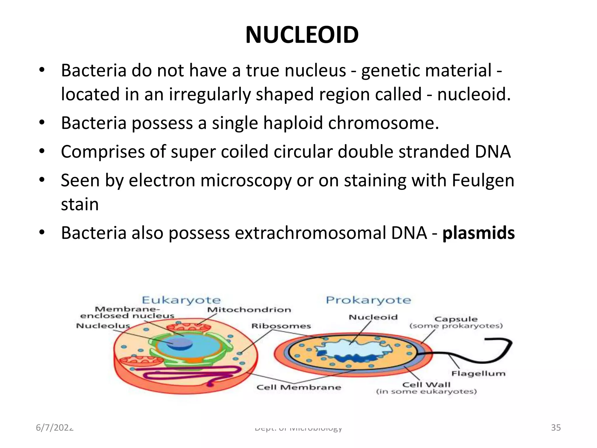 Morphology of Bacteria and Anatomy of Bacterial Cell.pptx