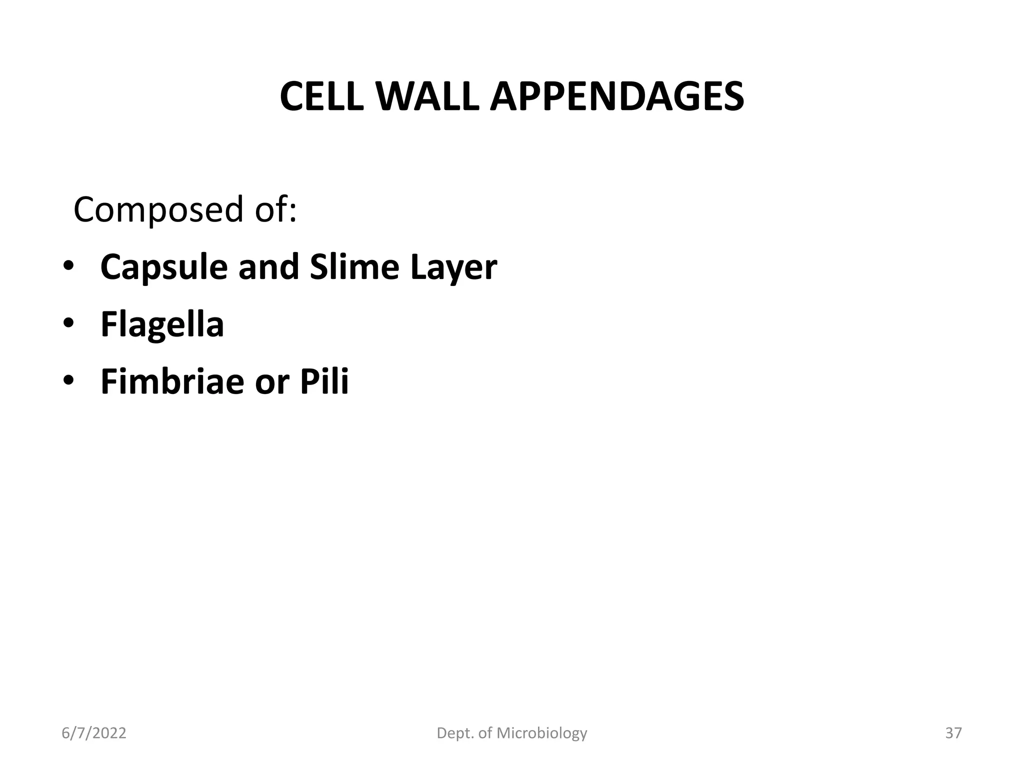 Morphology of Bacteria and Anatomy of Bacterial Cell.pptx