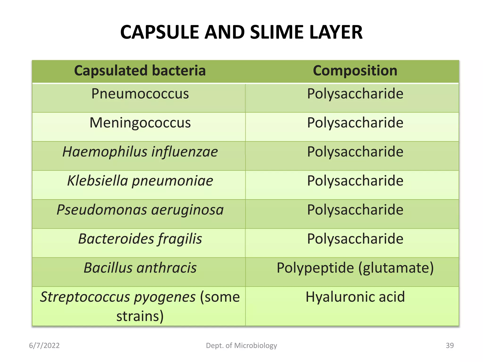 Morphology of Bacteria and Anatomy of Bacterial Cell.pptx