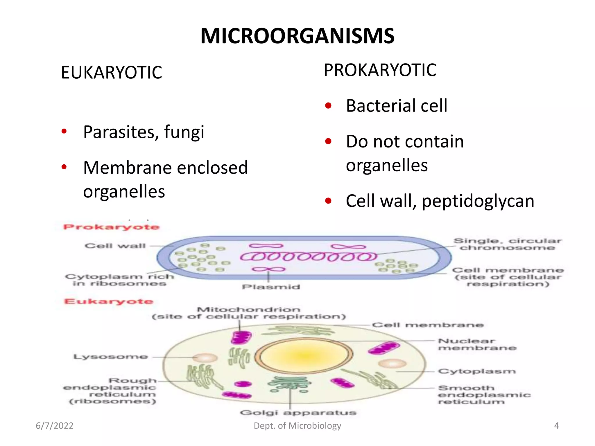 Morphology of Bacteria and Anatomy of Bacterial Cell.pptx