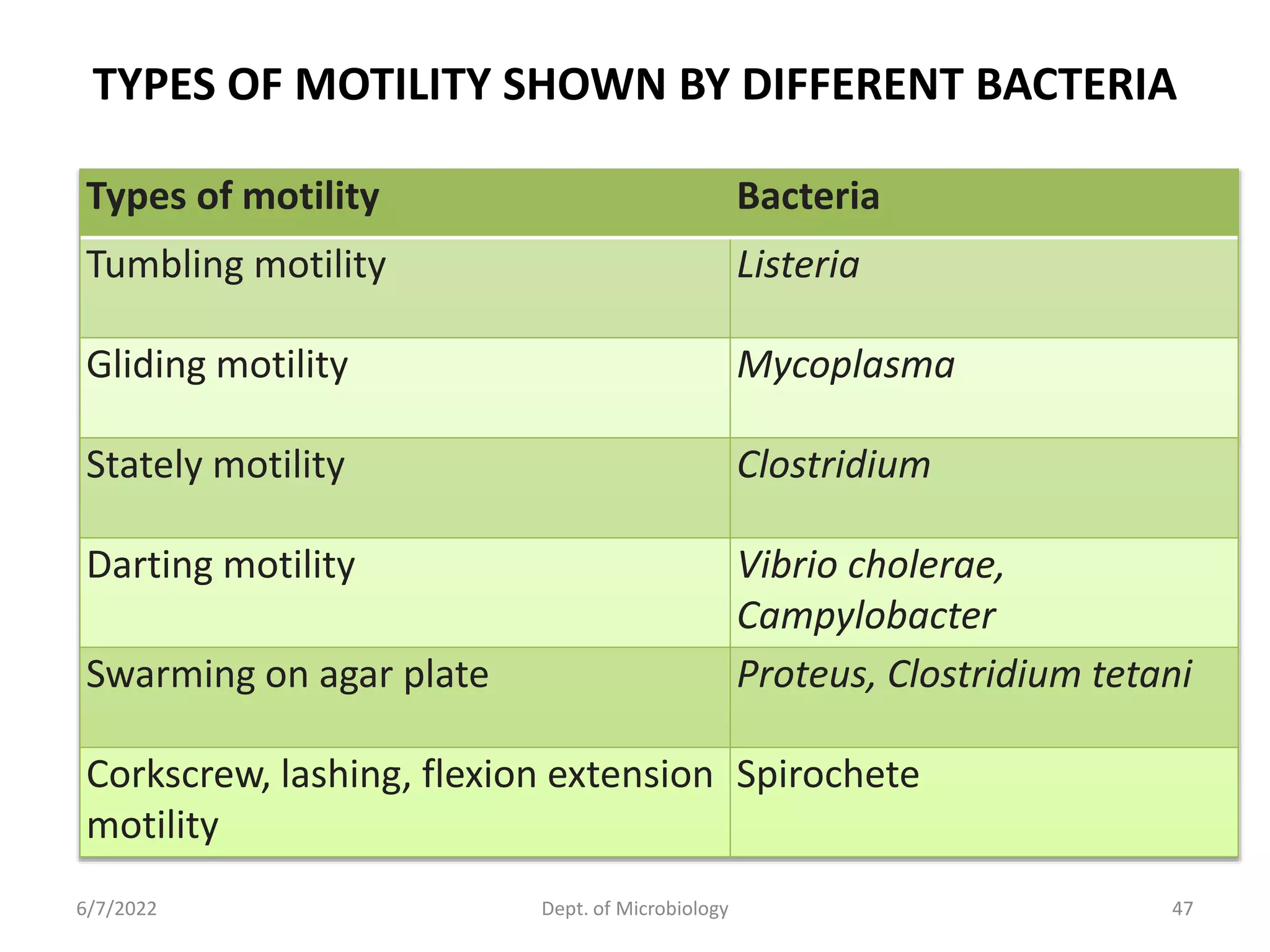 Morphology of Bacteria and Anatomy of Bacterial Cell.pptx