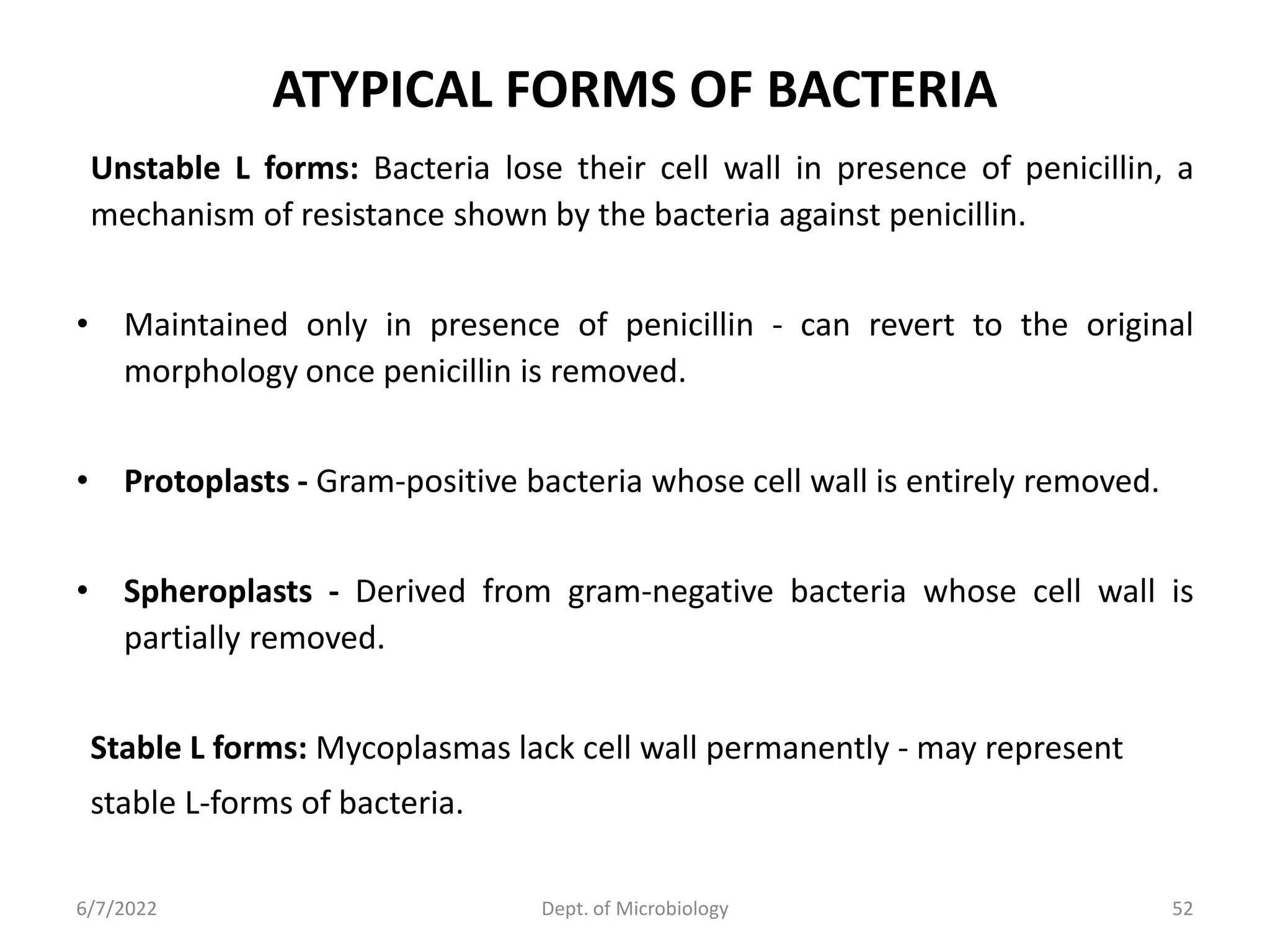 Morphology of Bacteria and Anatomy of Bacterial Cell.pptx