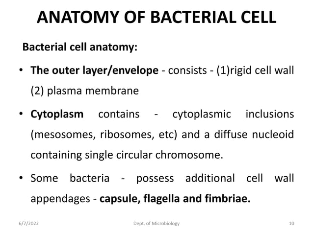 Morphology of Bacteria and Anatomy of Bacterial Cell.pptx