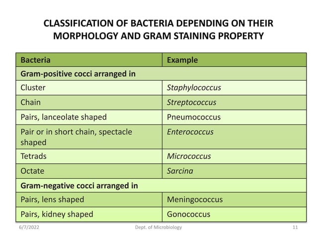 Morphology of Bacteria and Anatomy of Bacterial Cell.pptx