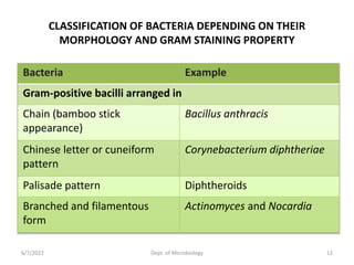 Morphology of Bacteria and Anatomy of Bacterial Cell.pptx