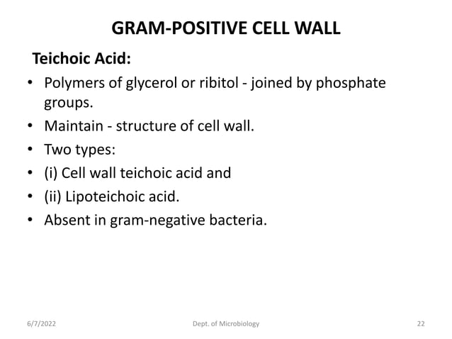 Morphology of Bacteria and Anatomy of Bacterial Cell.pptx