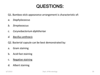 Morphology of Bacteria and Anatomy of Bacterial Cell.pptx