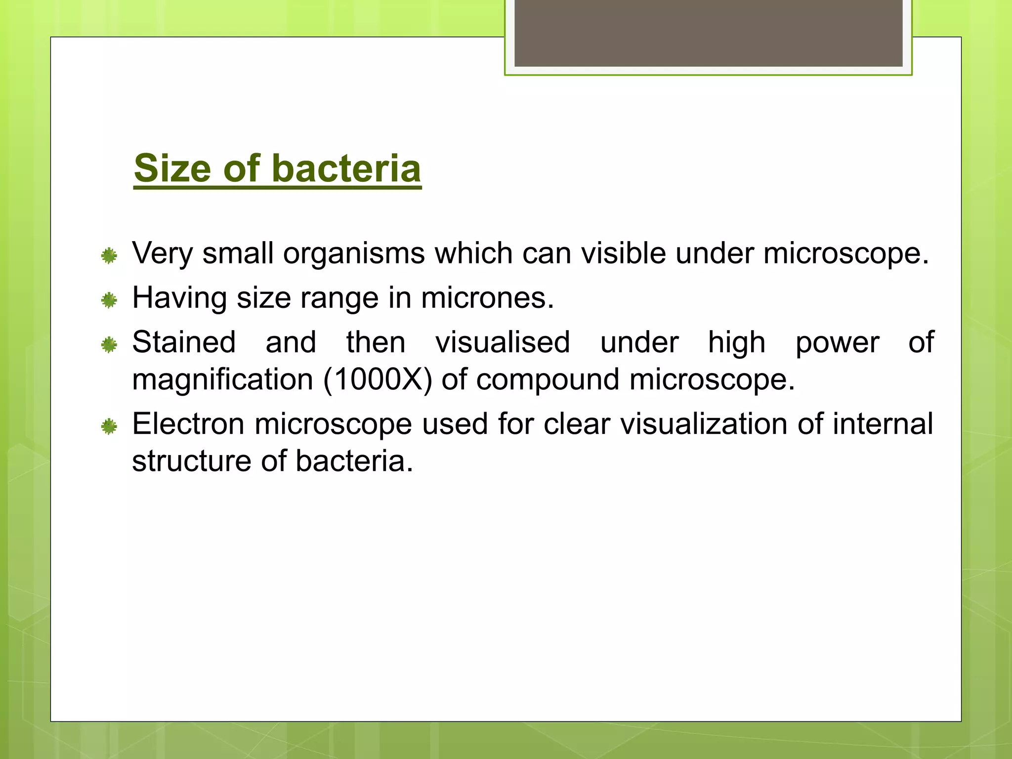 MORPHOLOGY OF BACTERIA AND FUNGI.pptx