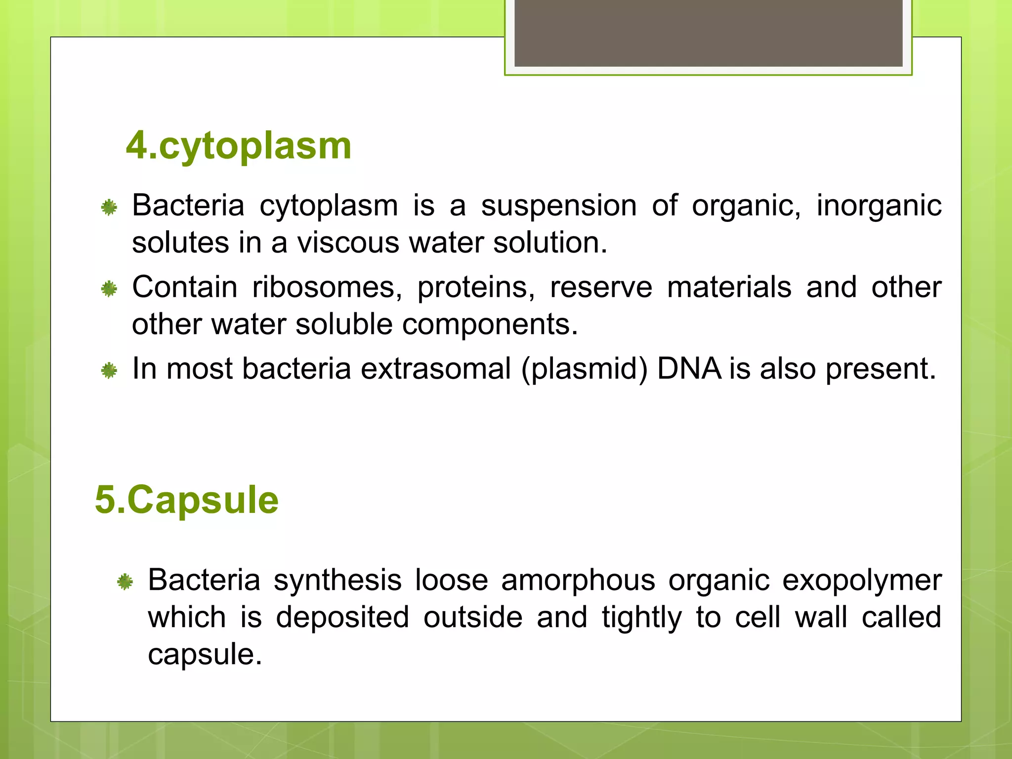 MORPHOLOGY OF BACTERIA AND FUNGI.pptx