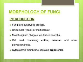 MORPHOLOGY OF BACTERIA AND FUNGI.pptx