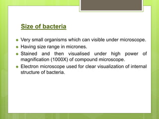 MORPHOLOGY OF BACTERIA AND FUNGI.pptx