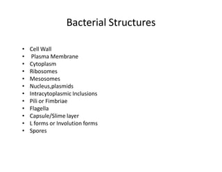 Morphology of bacteria deepa babin | PDF