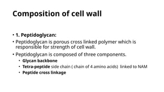Morphology of Bacterial Cell for bsc sud | PPTX