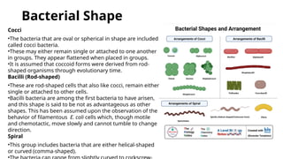 Morphology of Bacterial Cell for bsc sud | PPTX
