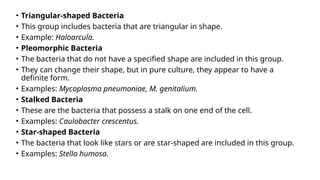 Morphology of Bacterial Cell for bsc sud | PPTX