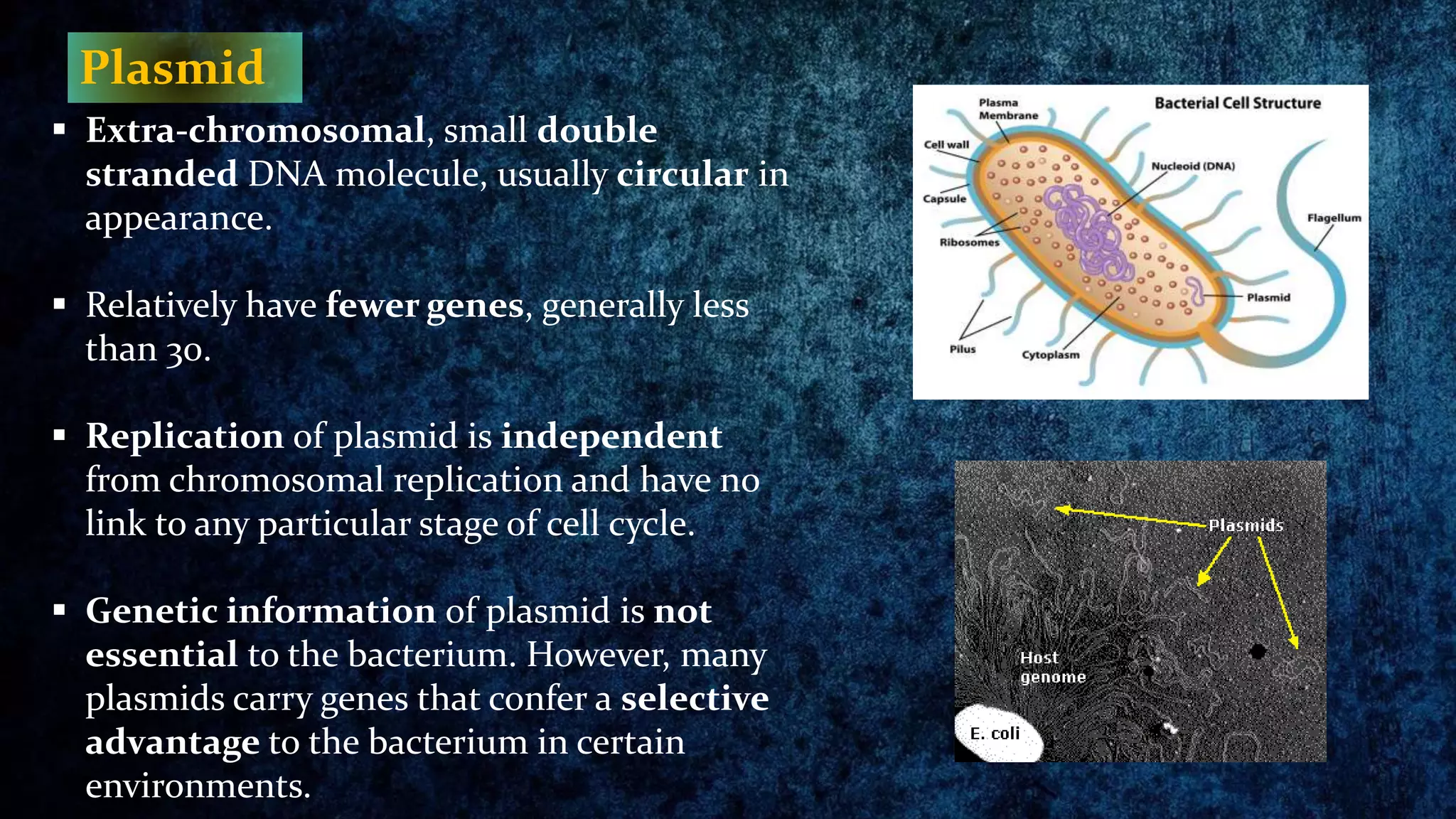 Morphology of bacterial cell presentation new 1.pptx