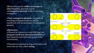 Morphology of bacterial cell presentation new 1.pptx