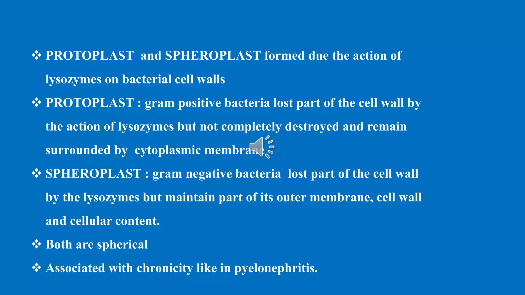 Morphology of bacteria lecture.pptx