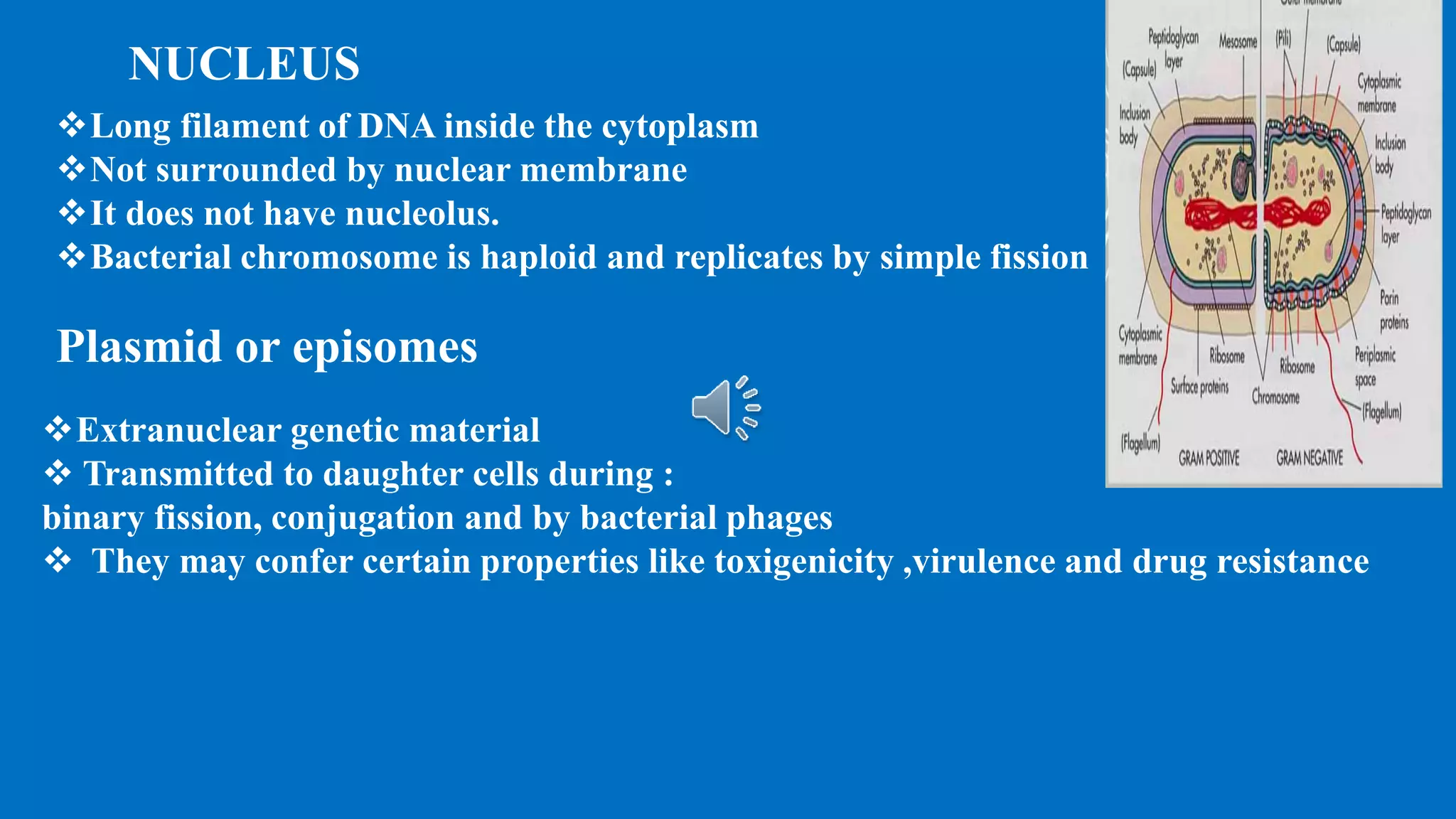 Morphology of bacteria lecture.pptx