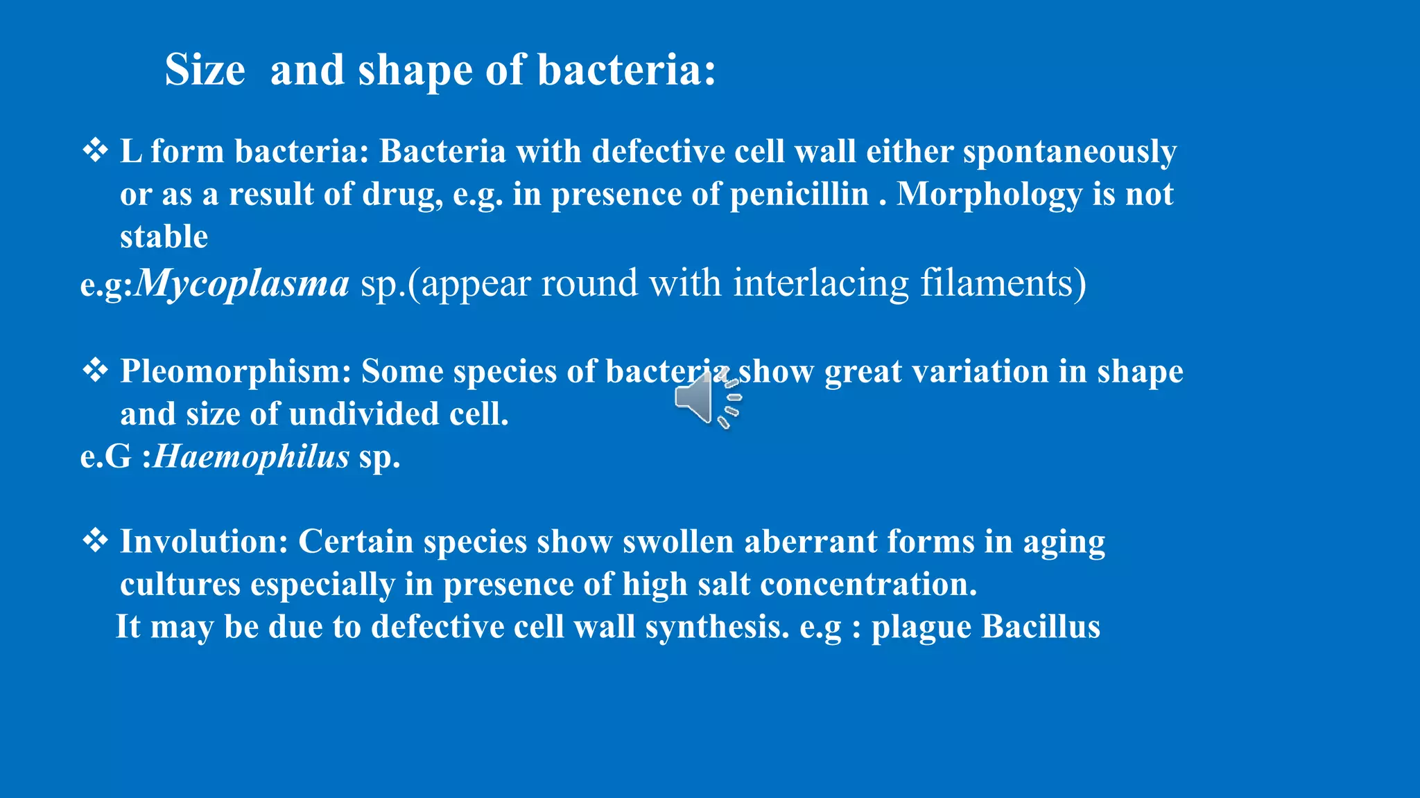 Morphology of bacteria lecture.pptx
