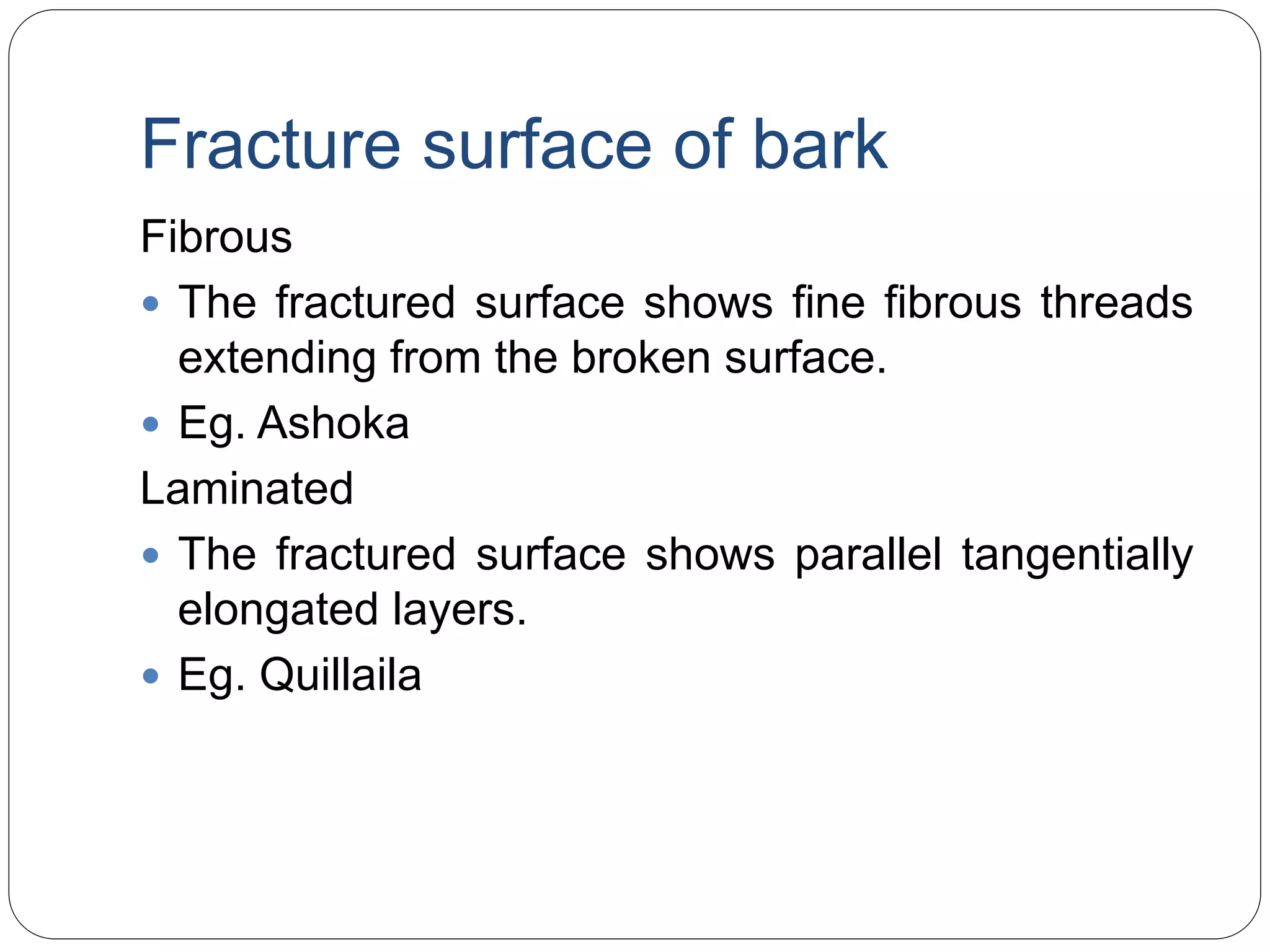 morphology of bark.ppt