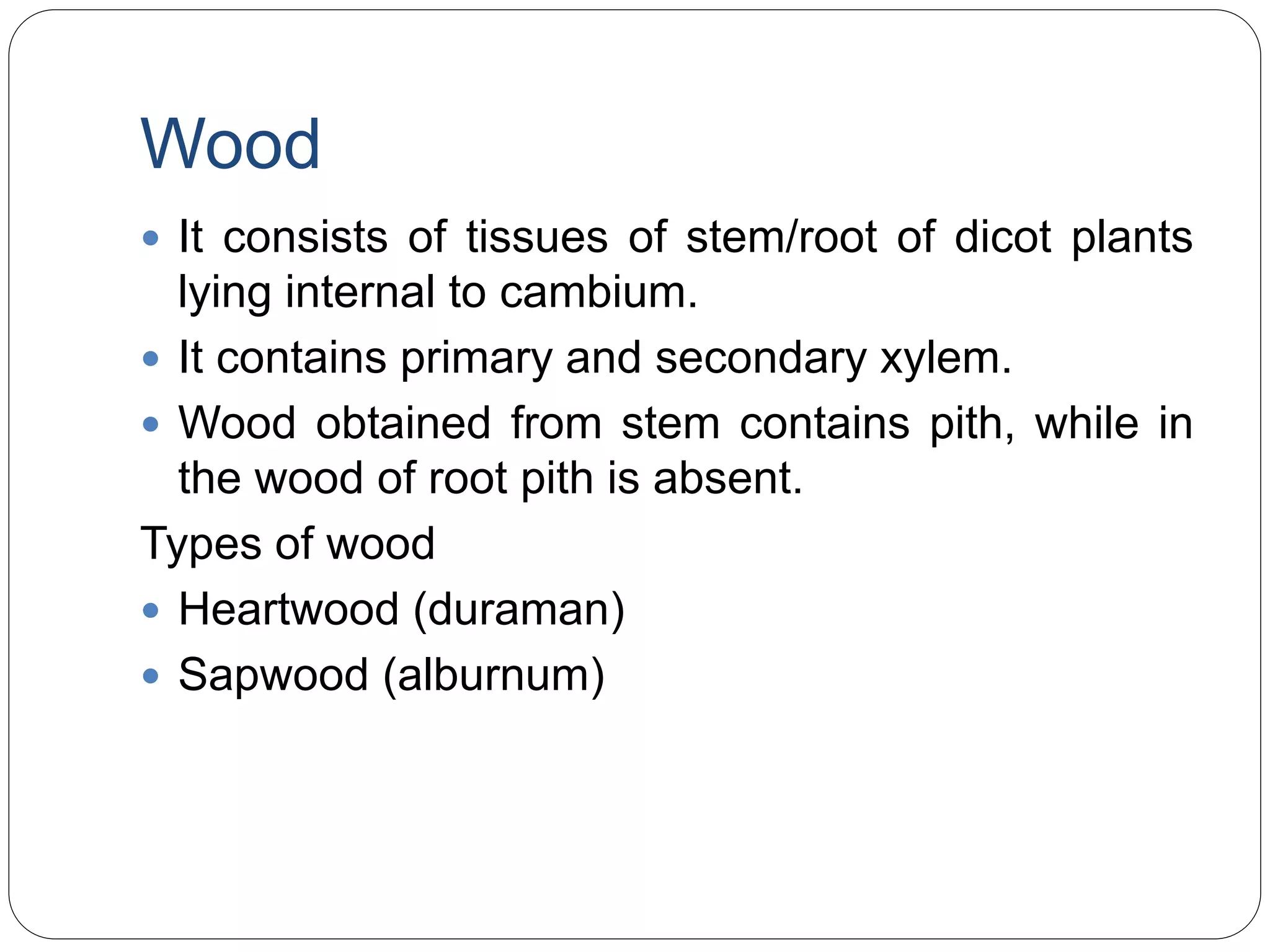 morphology of bark.ppt