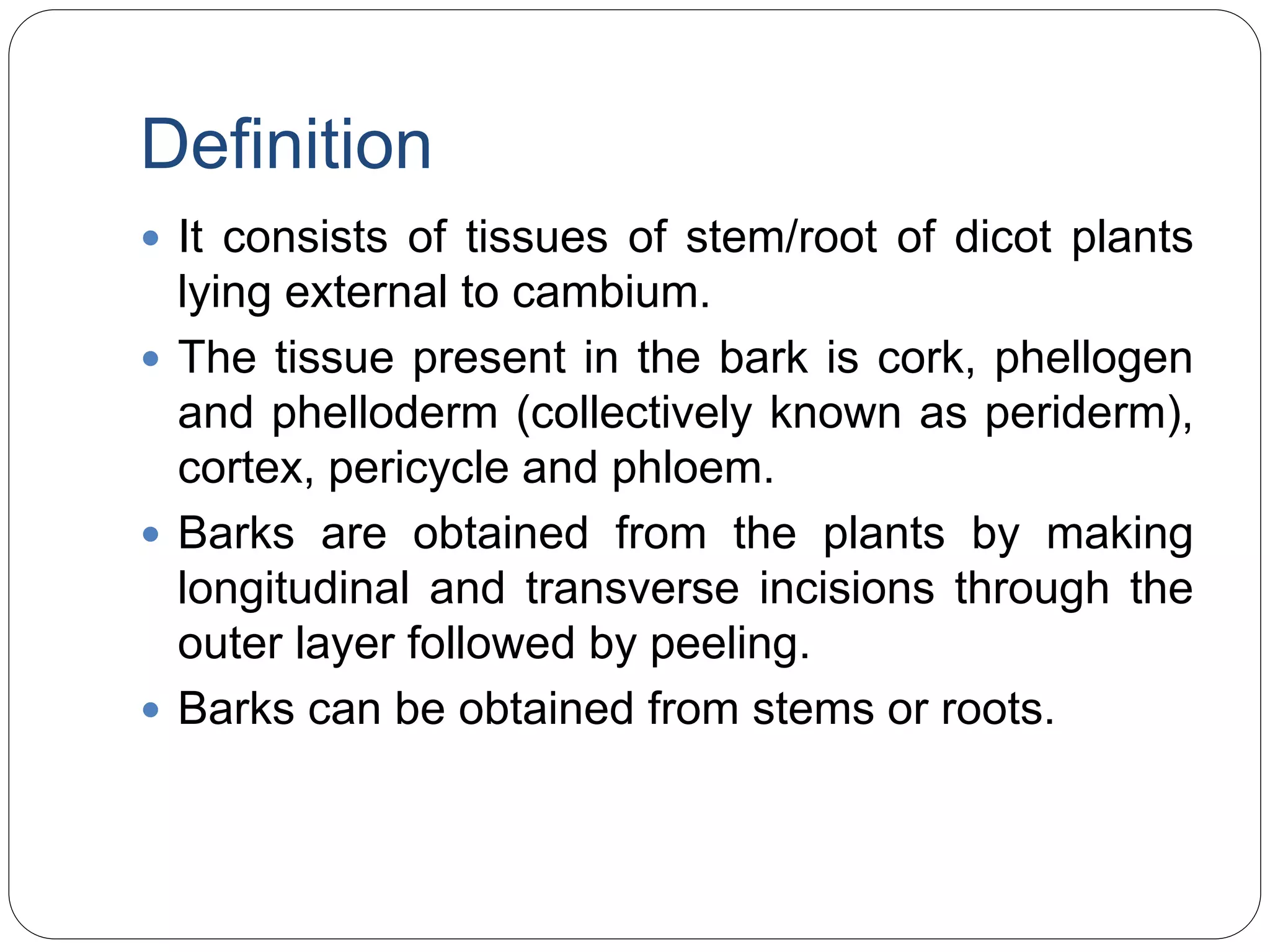 morphology of bark.ppt