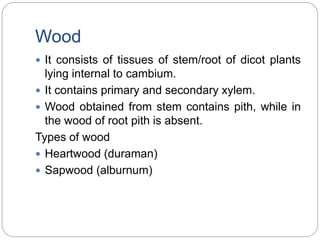 morphology of bark.ppt