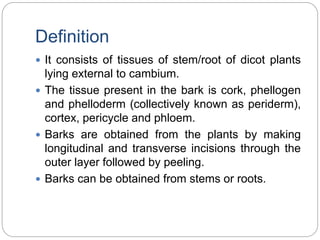 morphology of bark.ppt