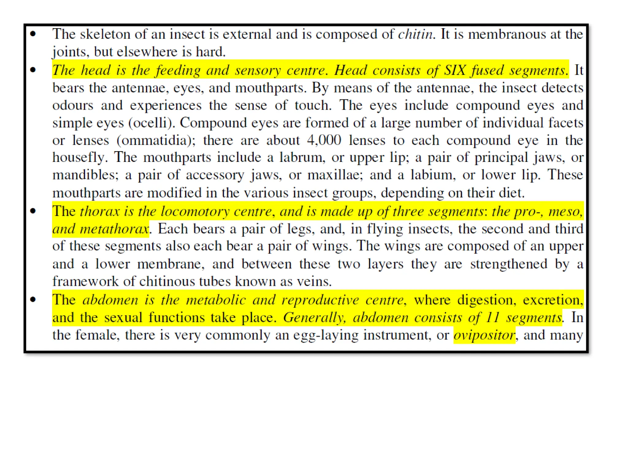 Morphology of body segments of insecta. PPT | PPTX