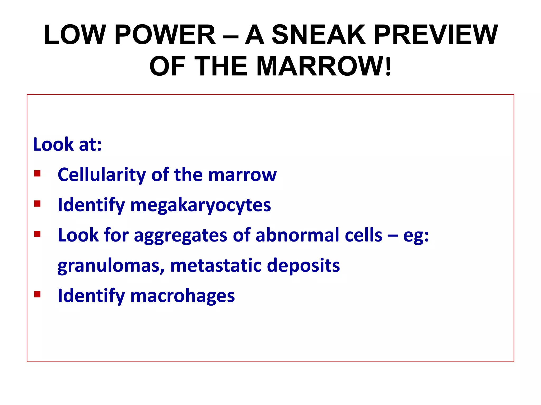 Morphology of bone marrow aspirates - Dr Hurwitz.pdf